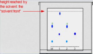👉 What is Paper Chromatography - Lab, How does it work, Experiment ...