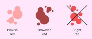 👉 What is Implantation Bleeding - When and How long does it occur ...