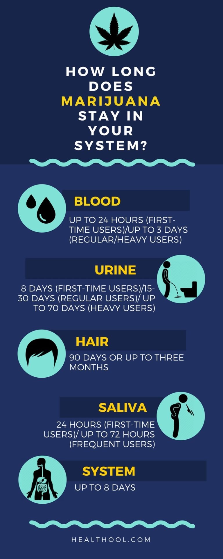 HealthoolHow Long Does Marijuana Stay In Your System Infographic